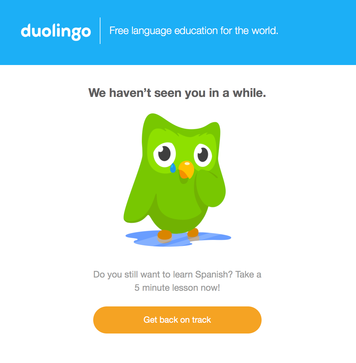 Martin Sitar Duolingo